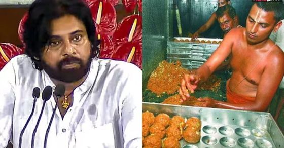 Tirupati Laddu Controversy: Pawan Kalyan Proposes Sanatana Dharma Rakshana Board - Filmibeat