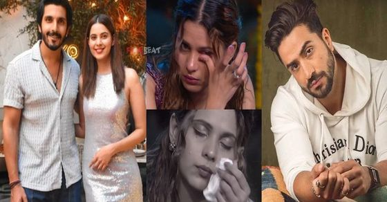 Bigg Boss 18: Aly Goni Criticises Kanwar Dhillon Over Alice Kaushik ...