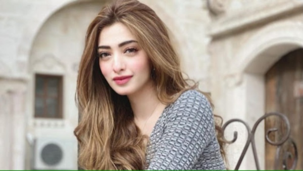 Did Shoaib Malik send flirtatious messages to Pakistani actress Nawal Saeed? - Hindi Filmibeat