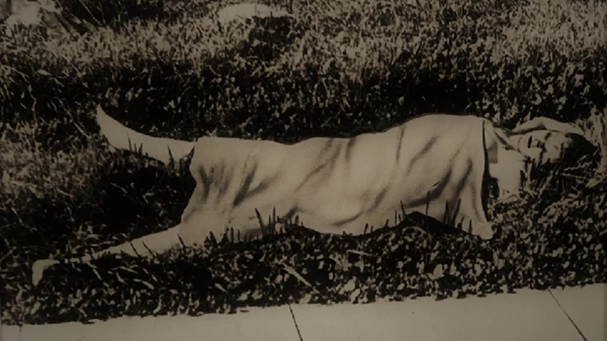 actress Elizabeth short aka black dahlia murder case mystery 500 people acccused - Hindi Filmibeat