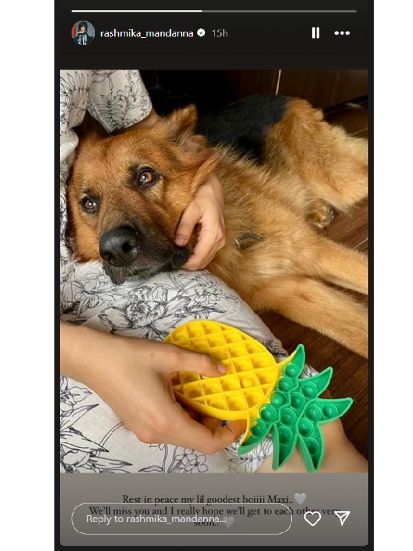 Rashmika Mandanna dog dies expressed grief Rashmika Mandanna emotional ...