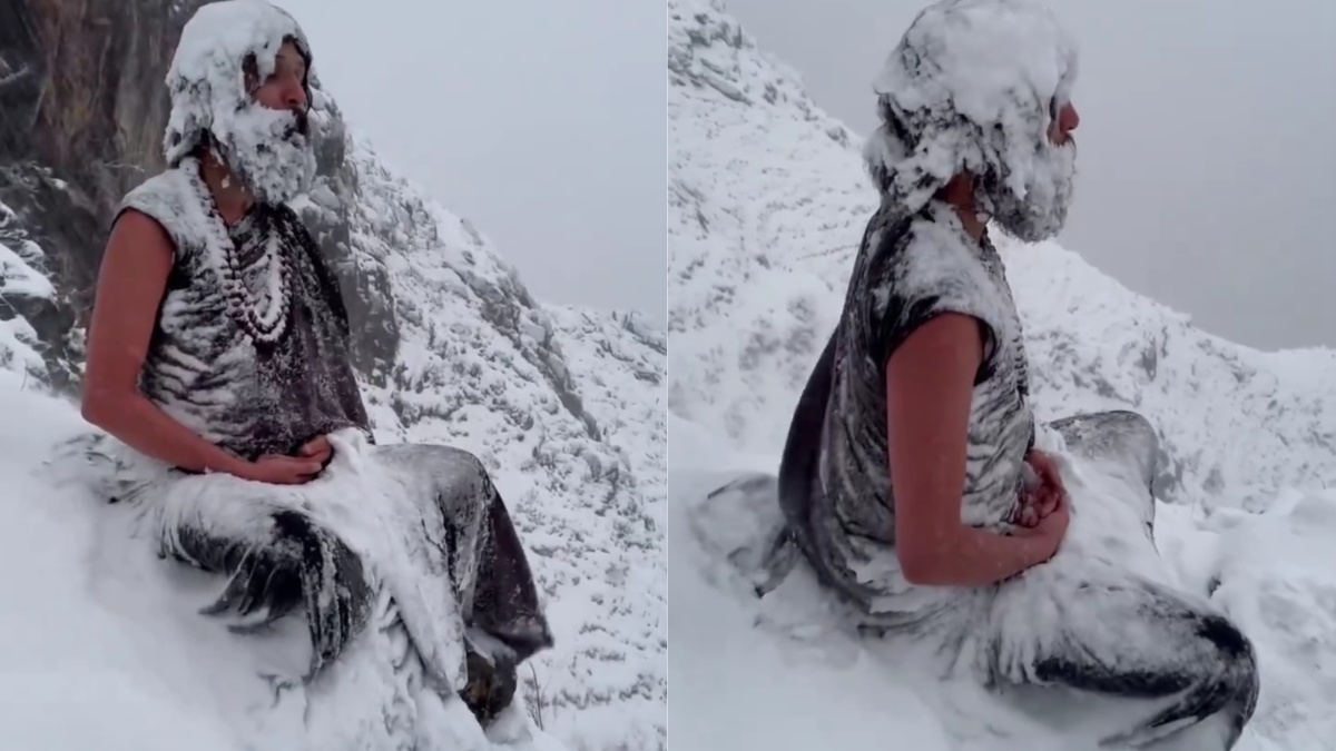 Yogi Satyendra Nath Himalaya tapasya viral video Mahayogi Satyendra ...