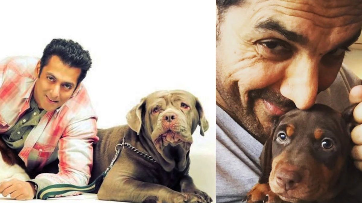 Bollywood Celebreties Who Are Animal Lovers: Hindi Actors Who Love ...