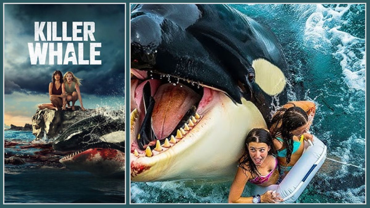 Killer Whale OTT Release: When & Where to Watch the Survival Thriller ...