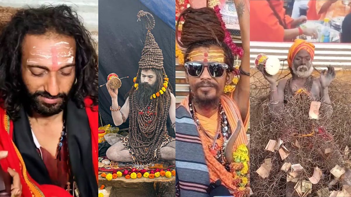 महाकुंभ 2025: त्रिवेणी संगम की भूमि से वायरल हुए ये 5 अनोखे बाबा ...