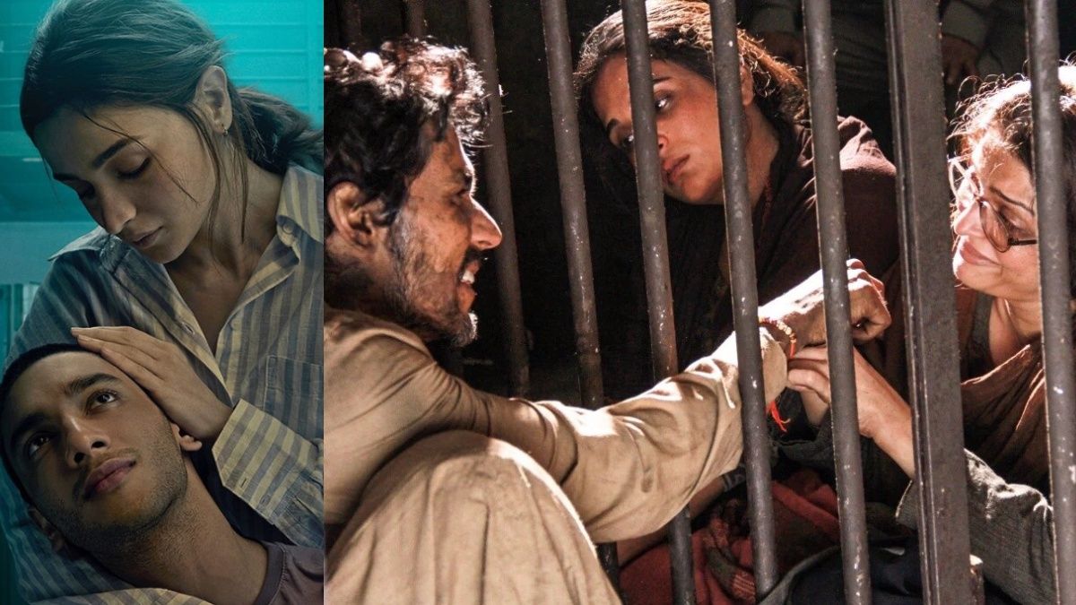 जिगरा ही नहीं, इन 7 फिल्मों में भी दिखाया गया है भाई-बहन का मजबूत ...