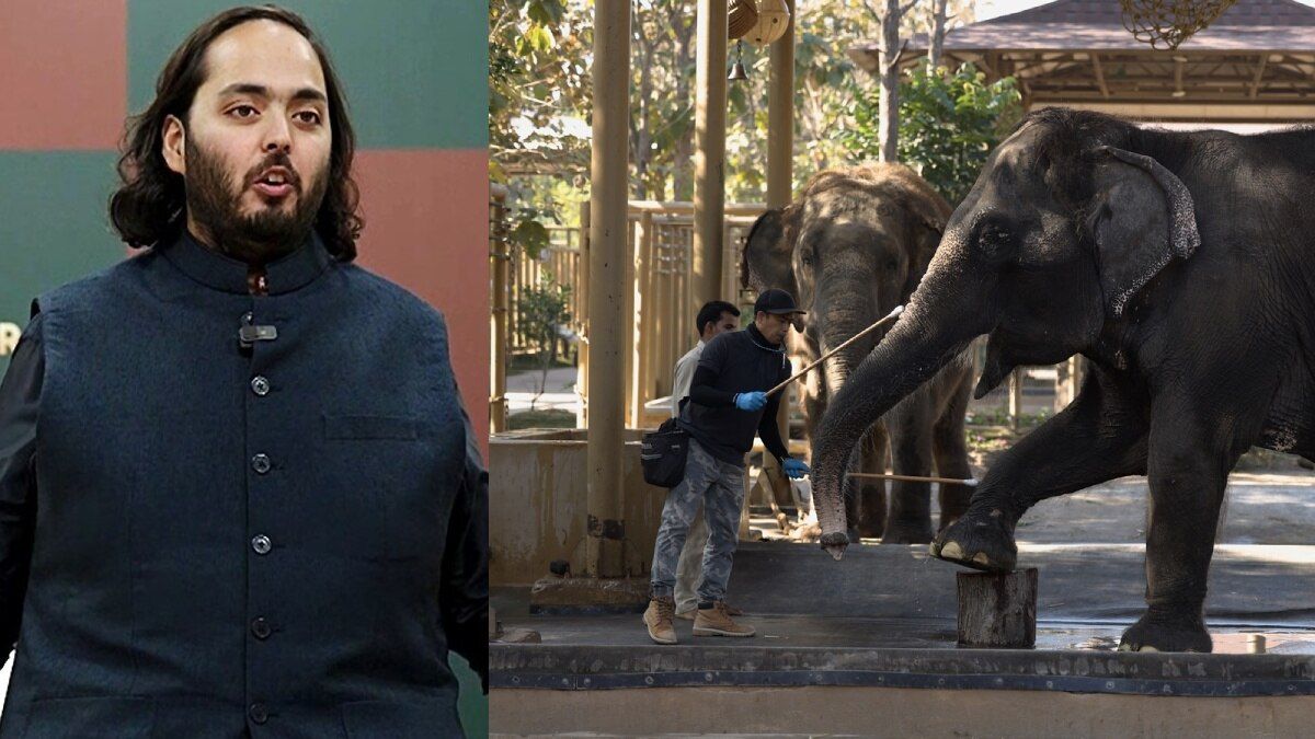 What's Inside Anant Mukesh Ambani’s 'Vantara' 3000 Acre Animal Rescue ...