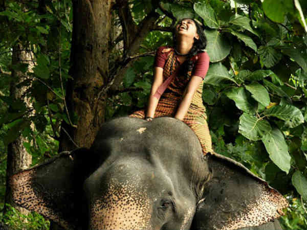 Gajaraju Movie Review | Telugu Film Review | Solomon Vikram Prabhu ...