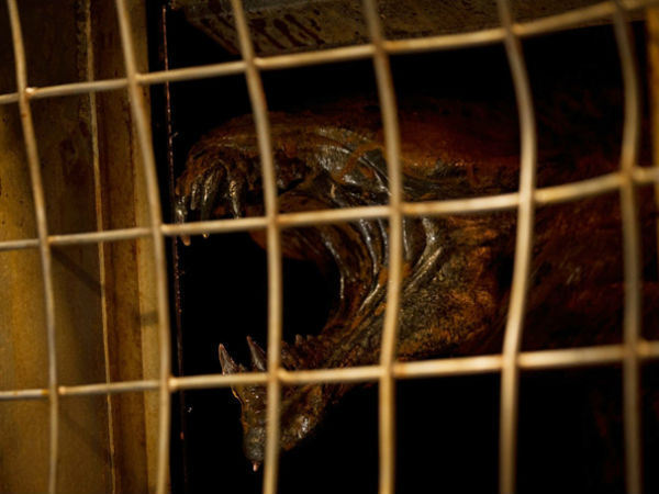 Riddick Movie Review | Hollywood Film | Vin Diesel | Karl Urban | David ...