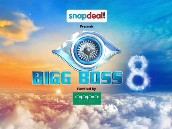 Bigg Boss 8 | Bigg Boss 8 Contestants | Bigg Boss 8 Contestants Final ...