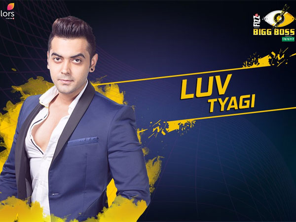 Bigg Boss 11: Wait, What? Not Luv Tyagi But Akash Dadlani Is Sent To The Mall! - Filmibeat