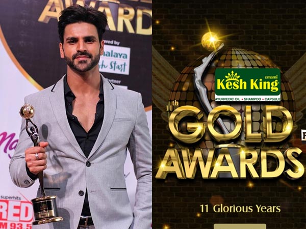 Gold Awards 2018 Gets Mixed Response! Vivek Dahiya Trolled For Bagging Fit Actor Award! - Filmibeat