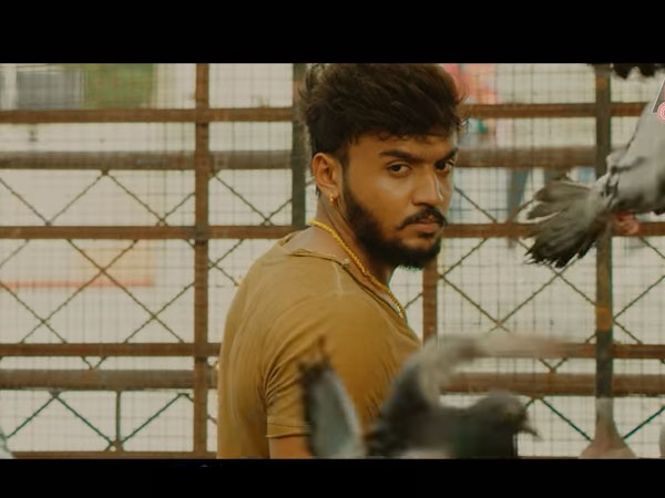 Bazaar Twitter Review | Simple Suni Impresses Mass Yet Again | Fans ...