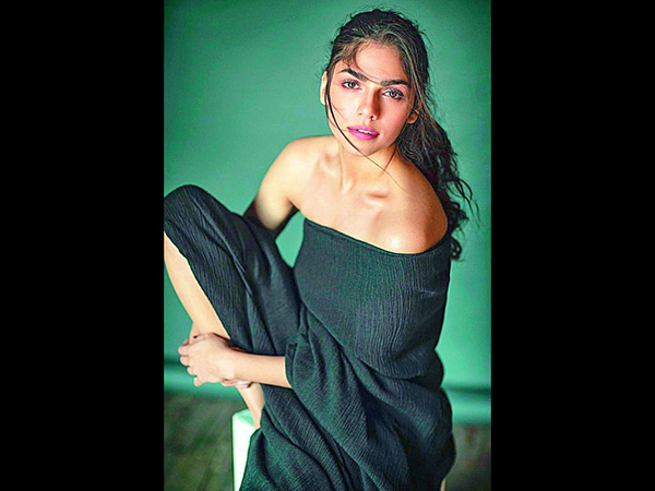 Shahid Kapoor's Kabir Singh Made Malaal Actress Sharmin Segal Cringe At ...