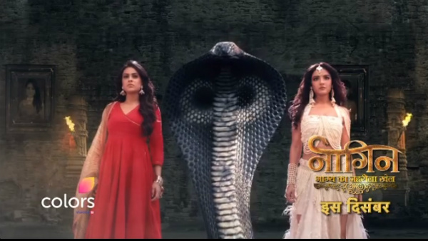 Naagin 4 FIRST Promo Out: Nia Sharma & Jasmin Bhasin Fans Super Excited ...
