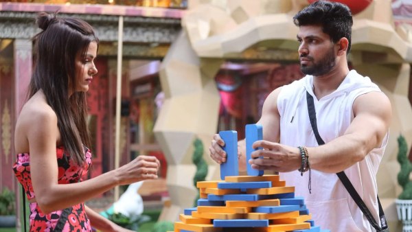 Bigg Boss 16: Arjun Bijlani Says Priyanka Chahar Choudhary, Tina Datta, Sumbul Touqeer, Shaleen ...