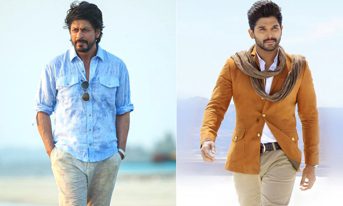 Allu Arjun Approached For Important Cameo In Shah Rukh Khan's 'Jawan' With Atlee? Details Inside ...