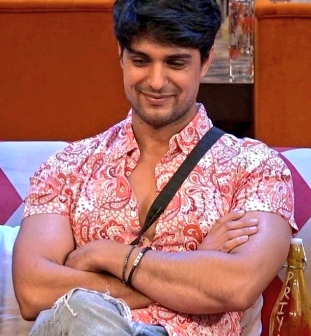 Ankit Gupta Wins Award For Best-Dressed Male In Bigg Boss 16 ...