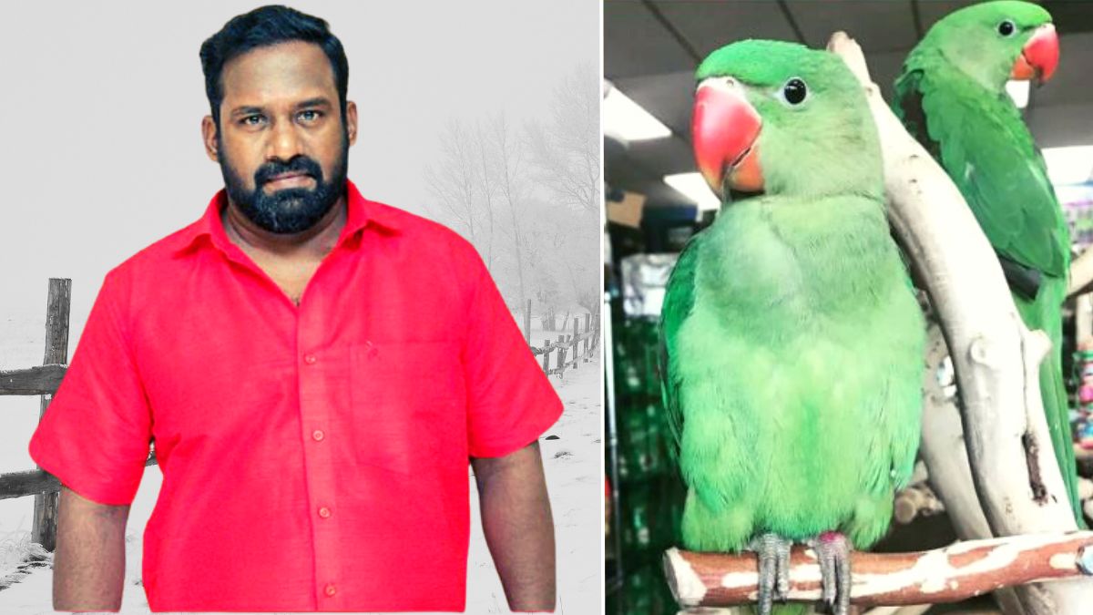 Famous Tamil Film Actor Fined By The Forest Department In Parrot ...