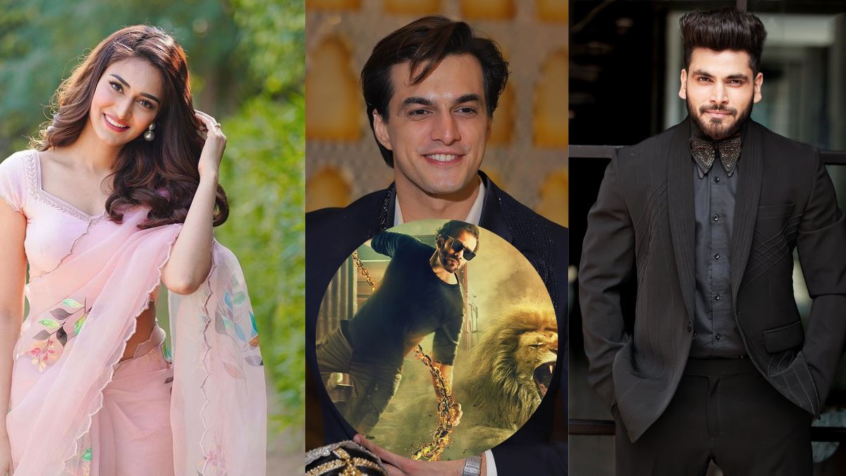 Khatron Ke Khiladi 13: Erica Fernandes, Mohsin Khan, Simba Nagpal ...