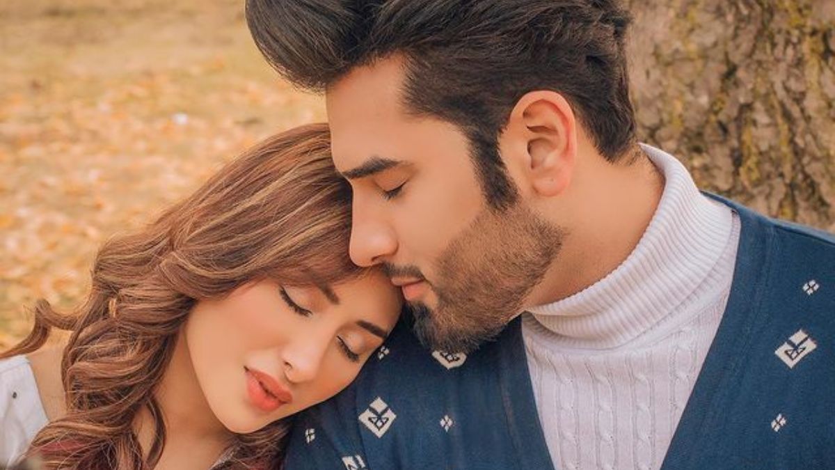 Paras Chhabra Mahira Sharma Breakup: Bigg Boss 13 Stars End ...