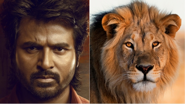 Sivakarthikeyan Stuns Everyone By Adopting A Lion; Fans Say 'After MGR ...