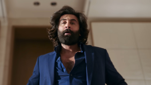 Animal Box Office Collection Day 1 | Animal Movie Day 1 Box Office ...