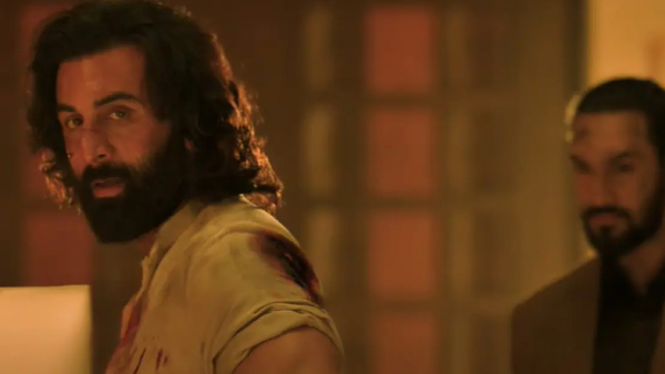 Animal Trailer Review | Animal Movie Trailer Review | Animal Bollywood ...