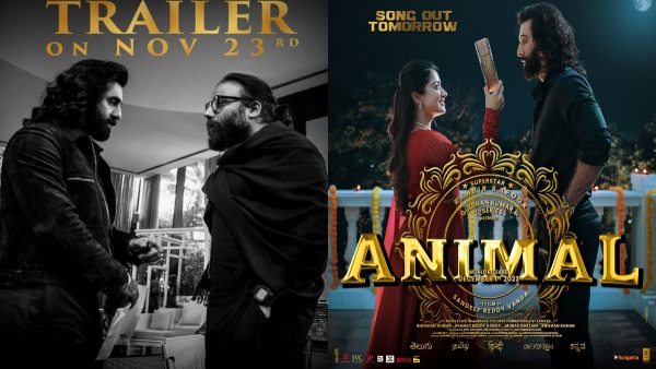 Animal Collection | Animal Day 1 Box Office Collection | Animal Movie ...