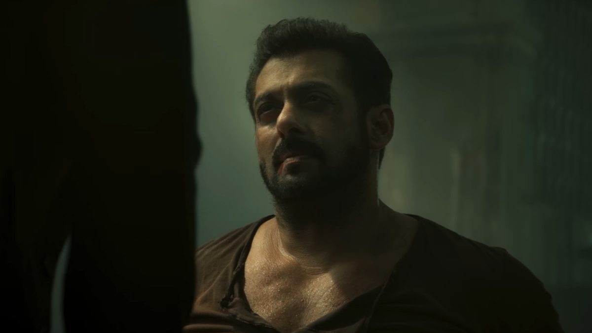 Tiger 3 Hit or Flop | Tiger 3 Box Office Collection | Salman Khan's ...