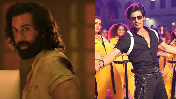 Animal 116 Crore | Animal Box Office Collection Worldwide Day 1 ...