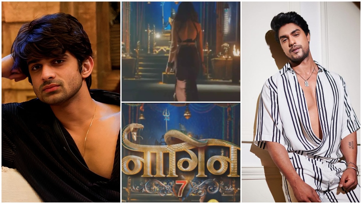 Naagin 7 Full Cast: Abhishek Kumar Approached To Play Naag With Ankit ...