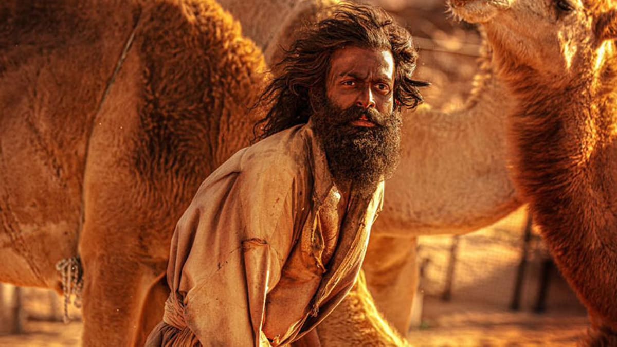 Aadujeevitham Box Office Collection Day 18 | Aadujeevitham Today Box ...