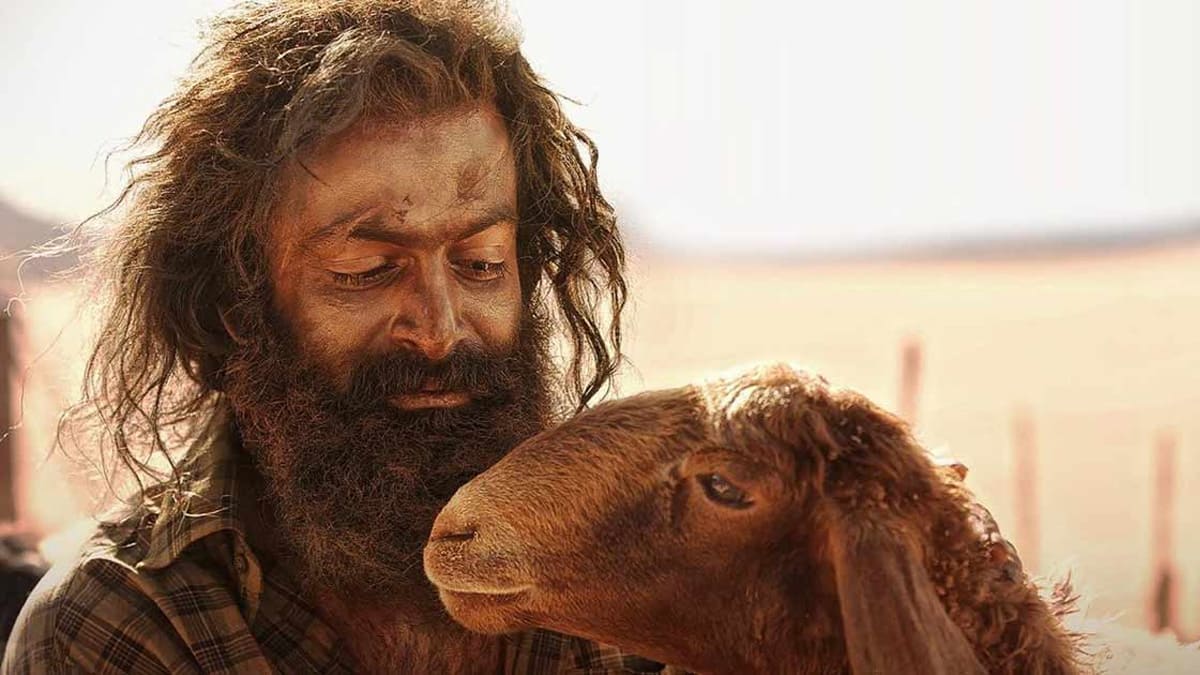 Aadujeevitham Box Office Collection Day 19 | Aadujeevitham Today Box ...