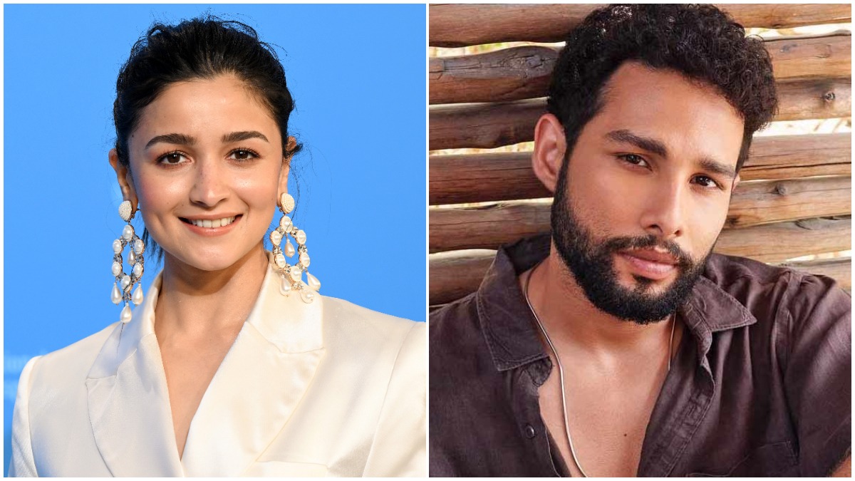 Are we going to see Siddhant Chaturvedi and Alia Bhatt collaborating for a new project? - Filmibeat