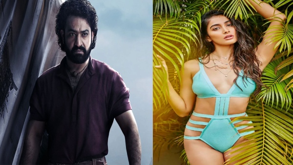 Devara Part 1: Jr NTR To Groove With Pooja Hegde In Janhvi Kapoor-Starrer Actioner For A Special ...