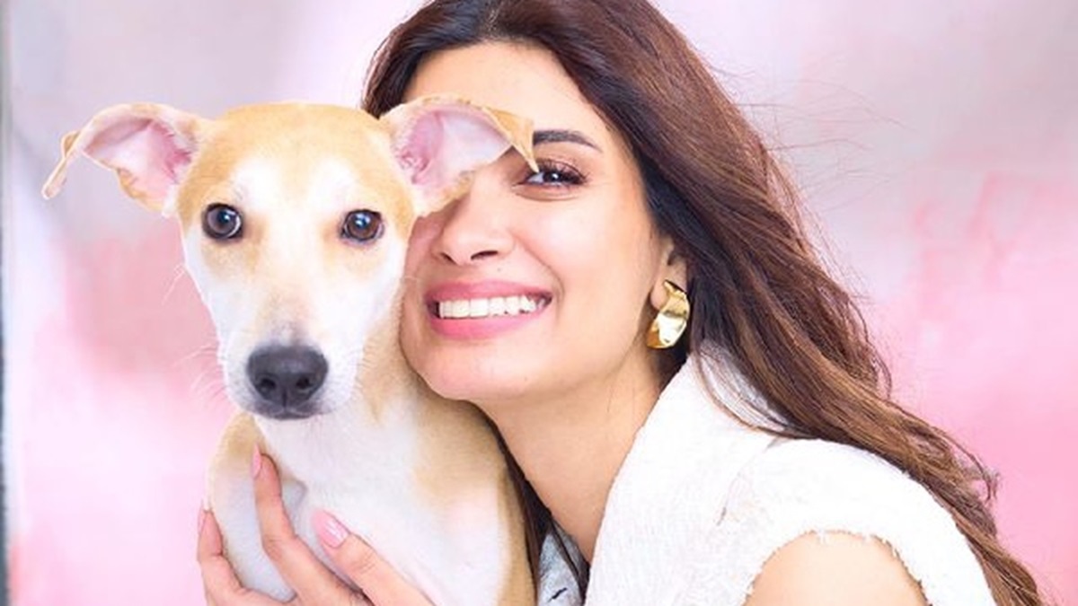 Diana Penty Joins Hands With PETA India Again To Find Adrak A Happy ...