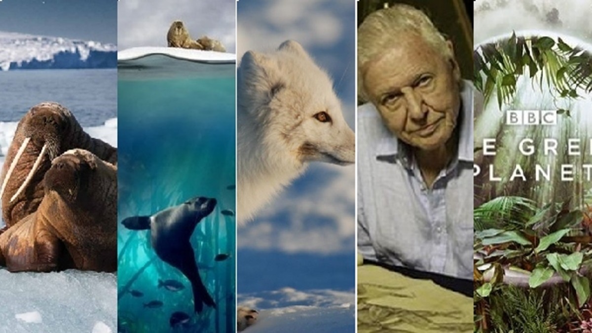 Sir David Attenborough's Top Shows To Binge-watch On Sony BBC Earth On ...