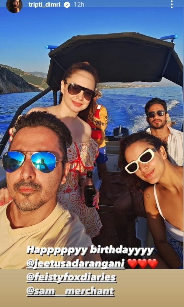 Triptii Dimri Drops Vacay Pic With Rumoured Boyfriend Sam Merchant ...