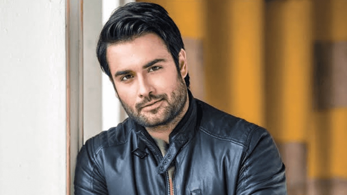 Exclusive I Bigg Boss: Vivian Dsena Reveals The REAL Reason Behind Not ...