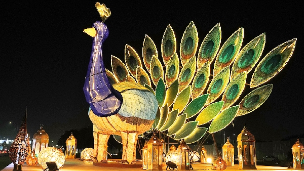 Delhi Airport Unveils Spectacular Peacock Art Installation: A Diwali ...