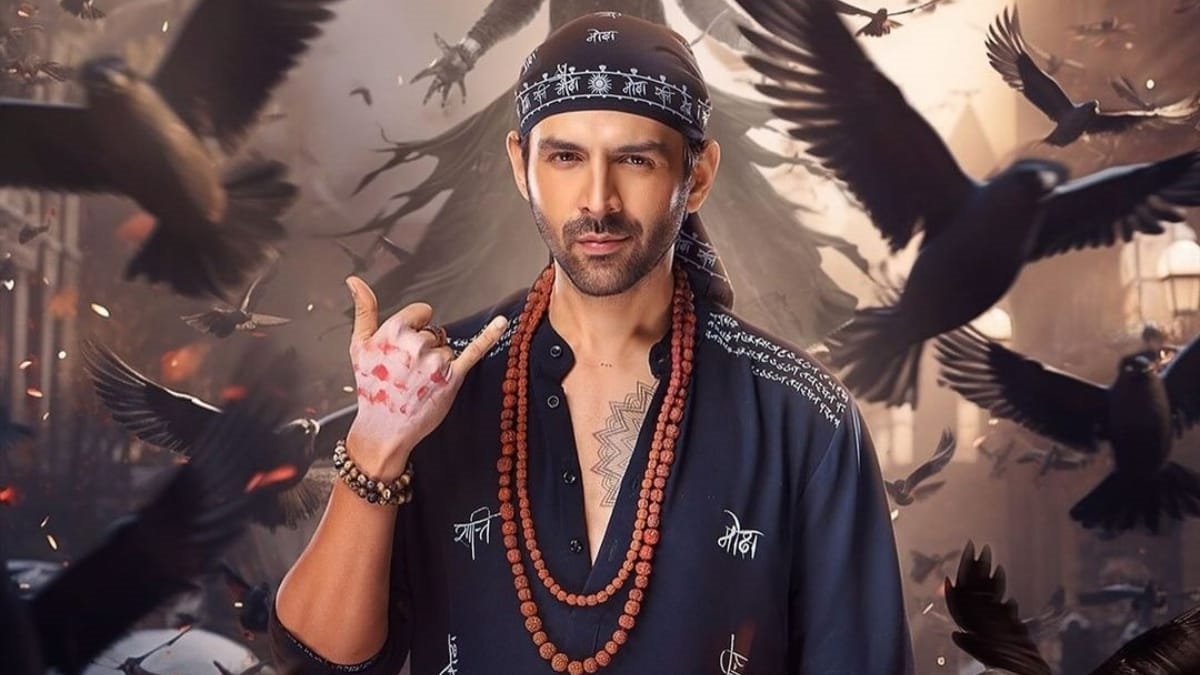 Bhool Bhulaiyaa 3 Worldwide Box Office Collection Day 25: Kartik Aaryan ...