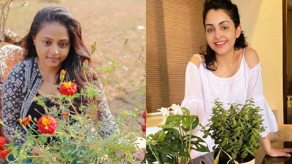 Smita Sable To Shubhangi Atre: Actors Talk About Life-Changing Benefits Of Having Indoor Plants ...
