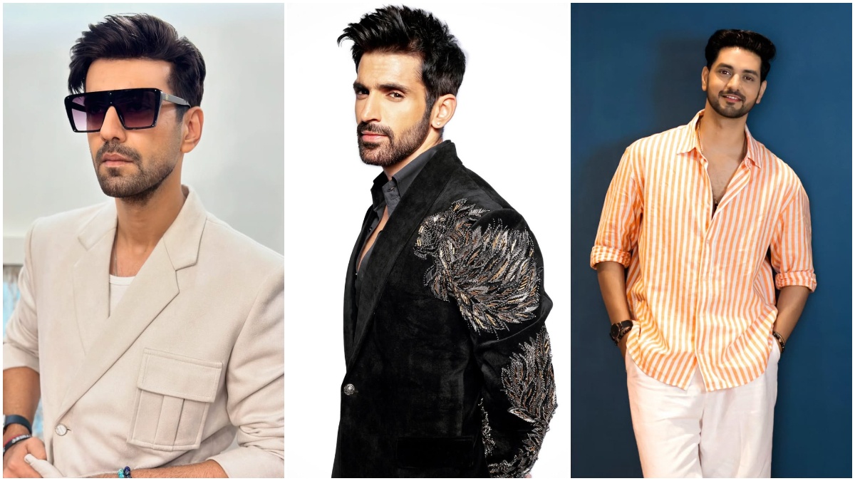 Year Ender 2024: Karanvir Sharma To Arjit Taneja; Top 5 TV Actors Who ...