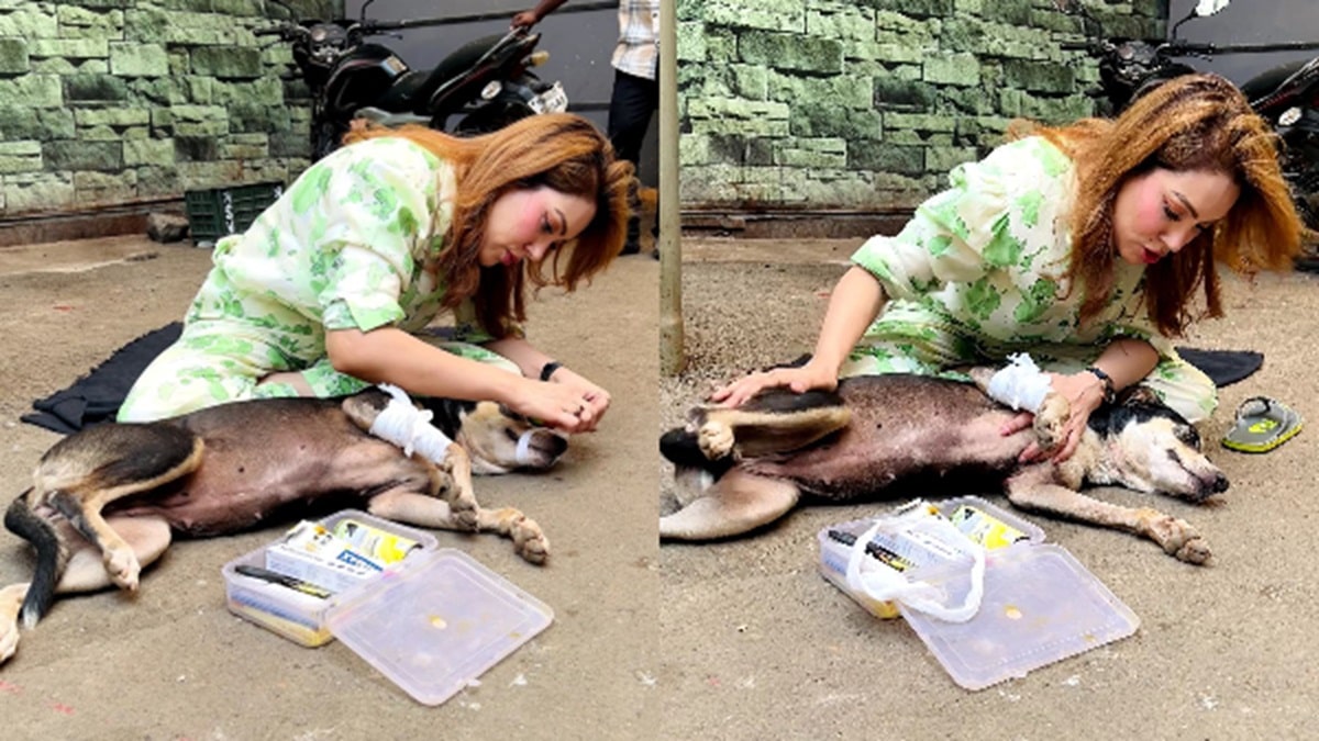 Munmun Dutta Rescues Injured Street Dog After Bike Accident; says, 'She Feels Loved and ...