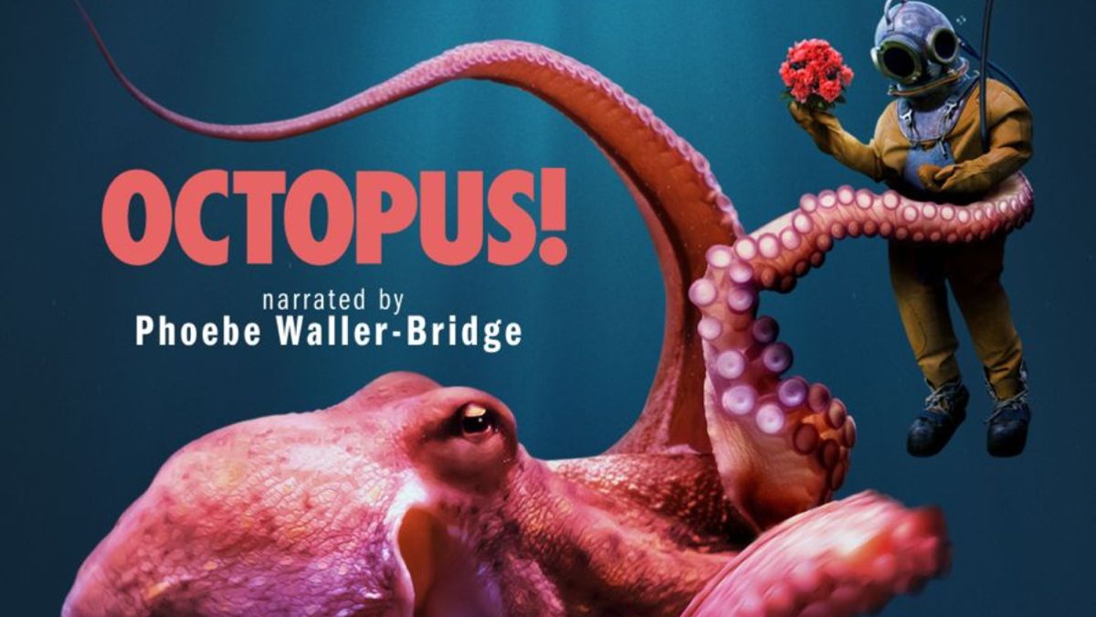 Prime Video Debuts Official Trailer For Octopus; Here's All You Need To ...