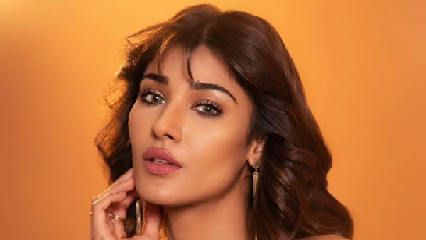 Bigg Boss 19: Nehal Chudasama Calls Out Amaal’s Allegiance to Mind Games During Division Of ...