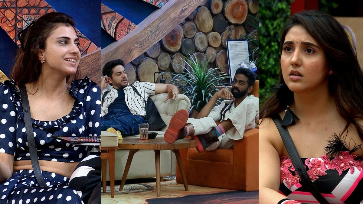 Bigg Boss 19 Ticket To Finale Winner Name: Who Will Win BB 19 Ticket To ...