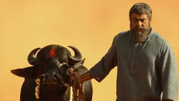 Kaatera OTT Release Date: Platform, Cast, Story & Box Office Collection | Katera OTT Release ...