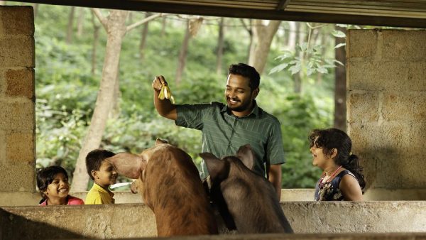 From Romancham to Palthu Janwar: A Closer Look At The Box-Office ...